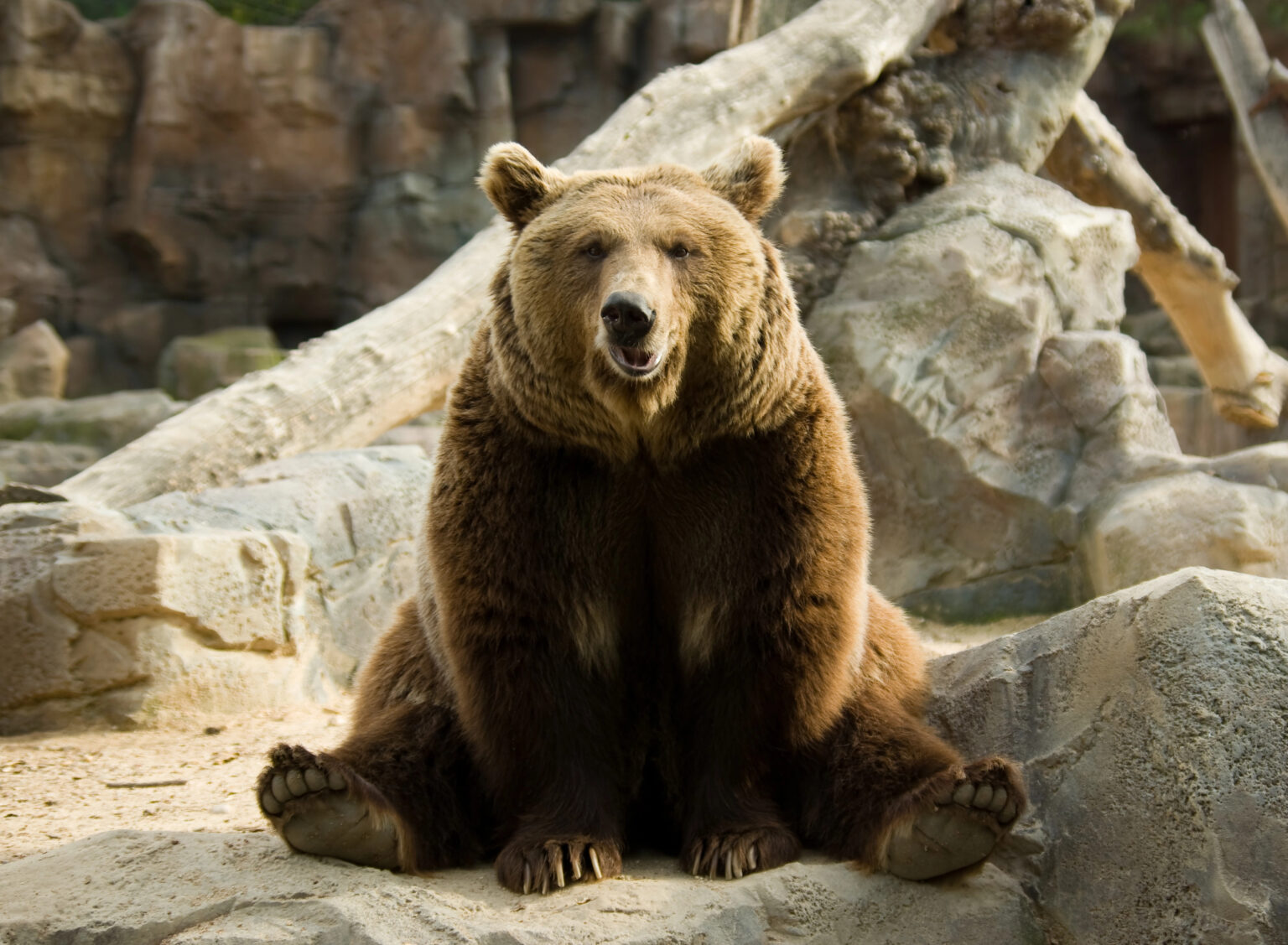 21 Unique lycanthrope-worthy creatures from the animal kingdom — The ...